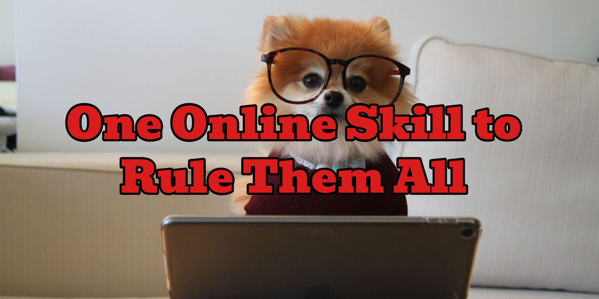 One Skill to Rule Them All and Grow Your Profits